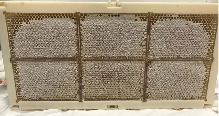Comb Honey Frame | Modern Bee Farmers