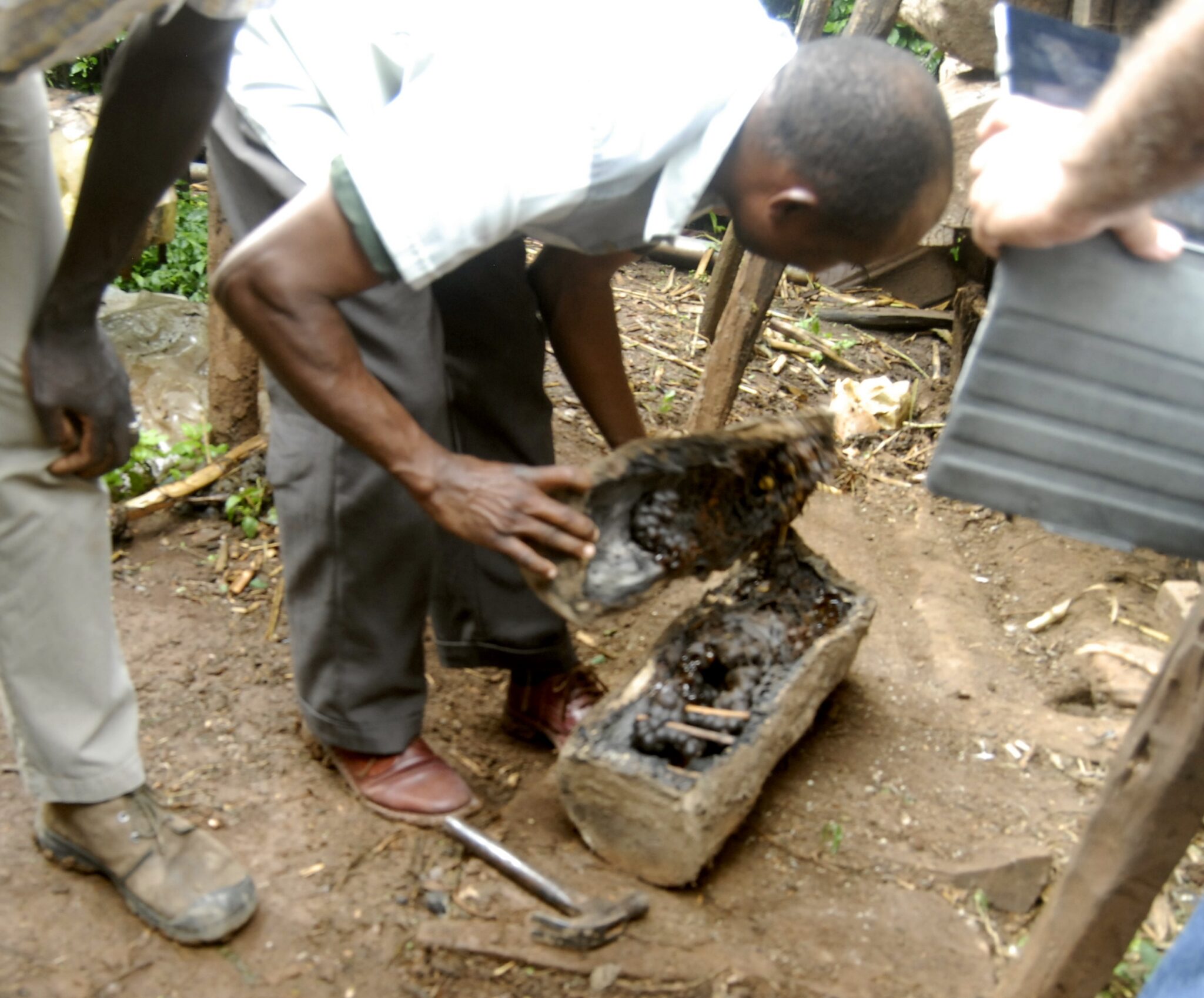 Adopting Modern Beehives in Kenya: From Traditional Log Hives to ...